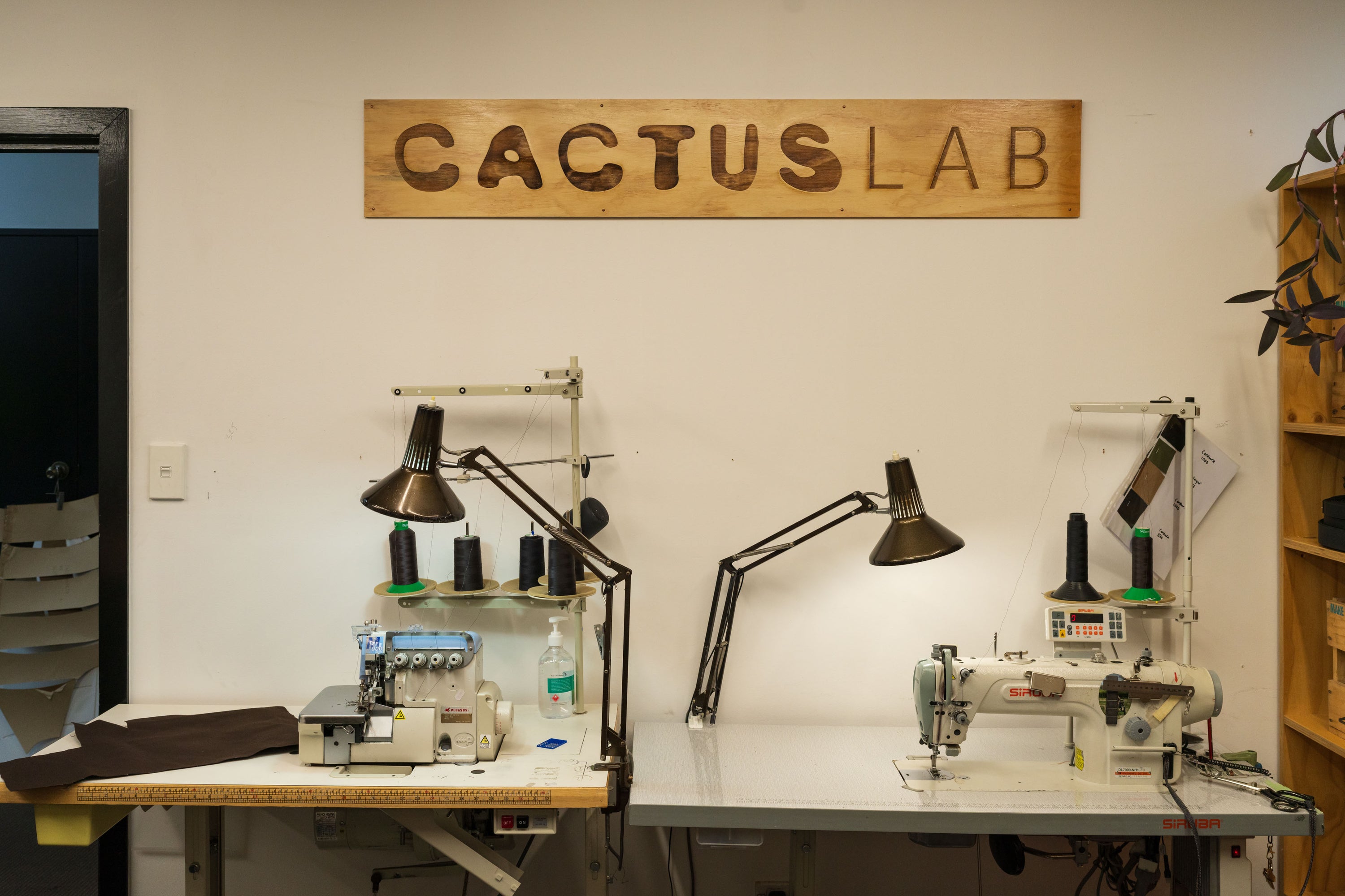 Cactus Lab Cactus Outdoor