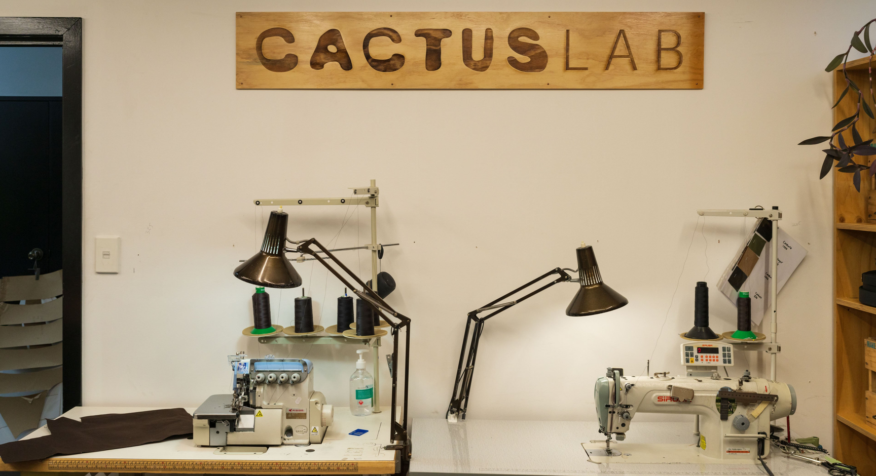 30 Years of Cactus – Cactus Outdoor